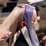 WellaEd.com Color Calendar